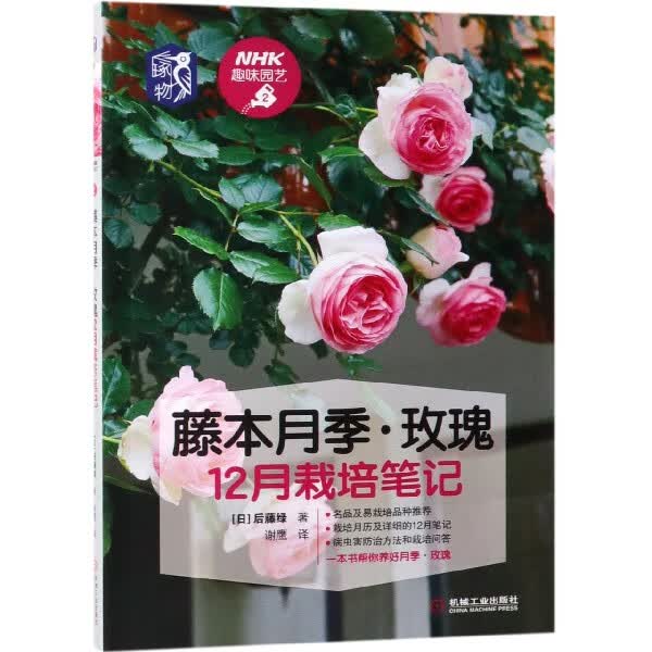 藤本月季玫瑰12月栽培笔记