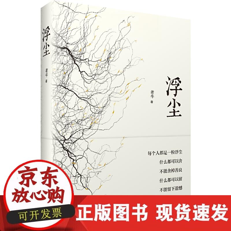 【现货】浮尘