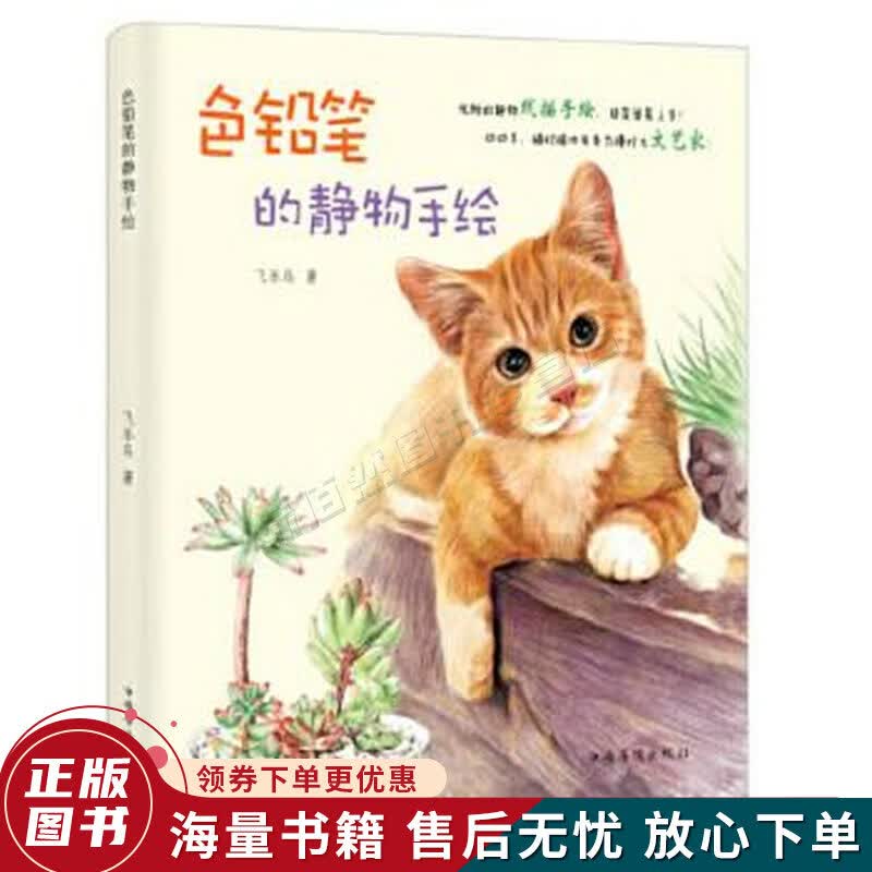 色铅笔的静物手绘