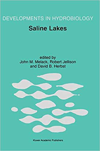 Saline Lakes