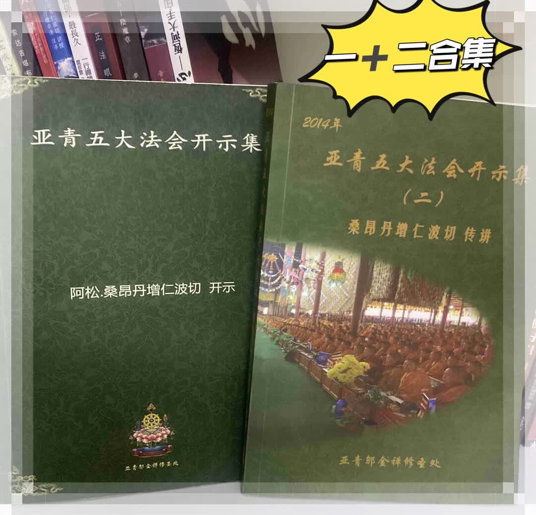 亚青五大法会开示集 (一?二合集)桑昂丹增仁波切 (阿松上师) 传记2本合集