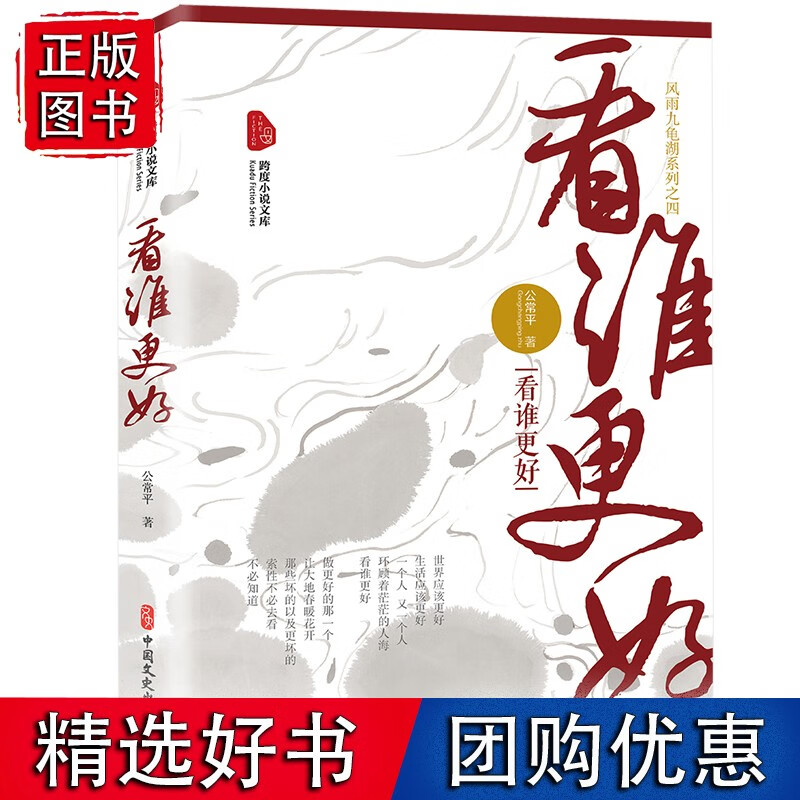 看谁更好（跨度小说文库）