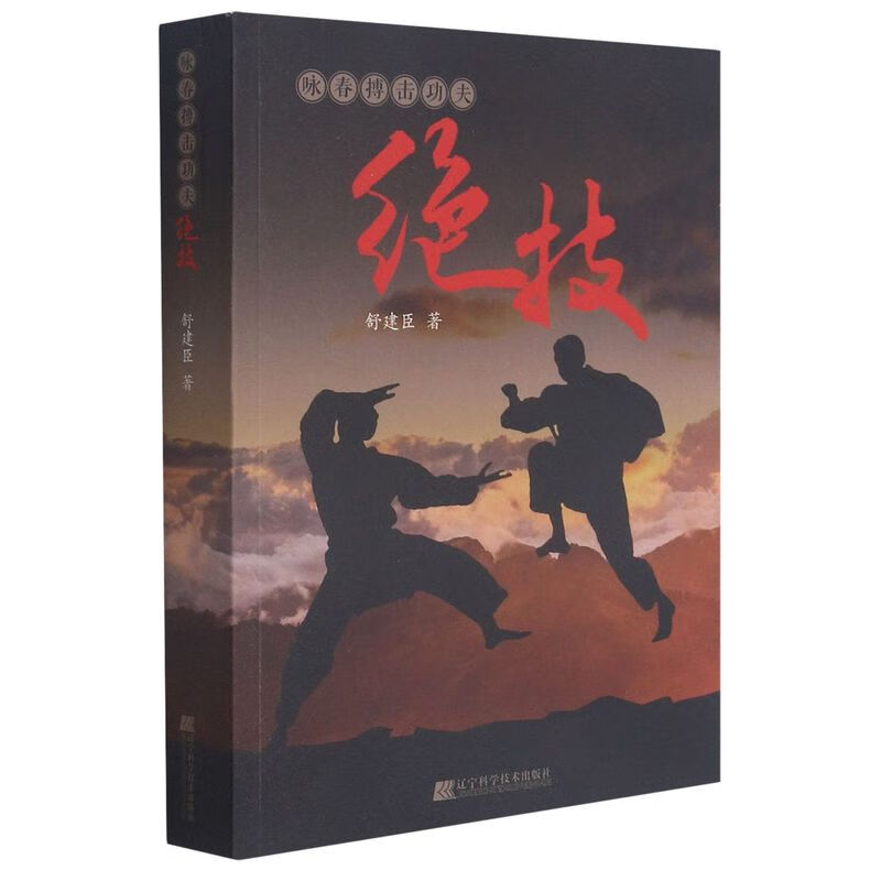咏春搏击功夫绝技