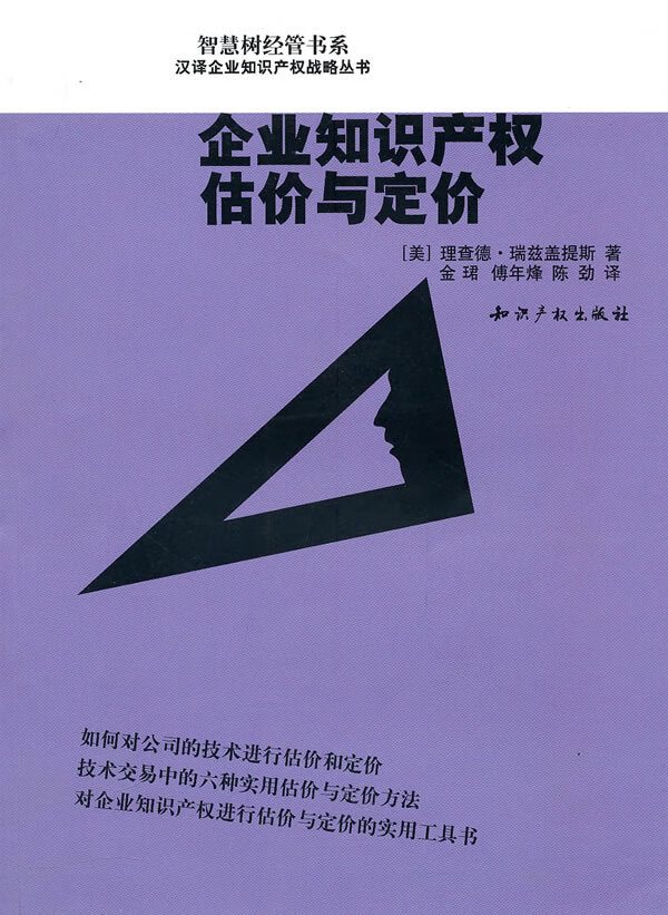 企业知识产权估价与定价【精选】