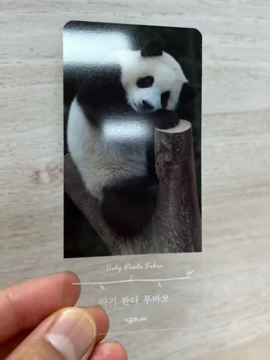 现货 熊猫福宝 书签 小卡  韩国直采 国企直营 进口原版 爱宝乐园周边 福宝周边 福宝 福艺珍