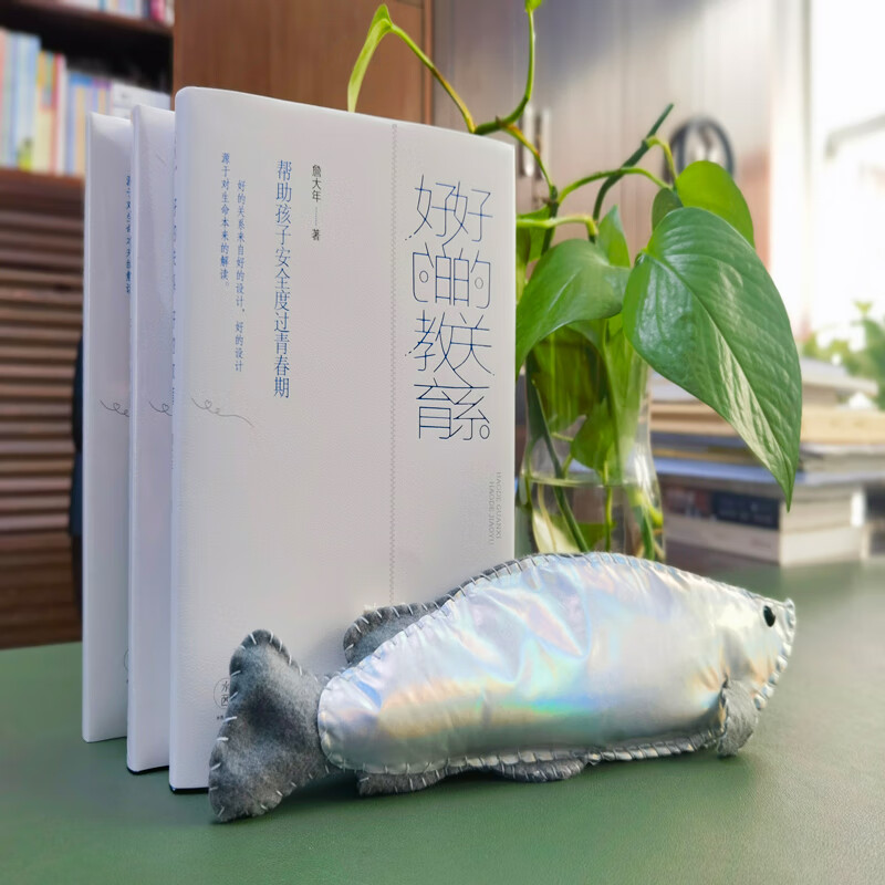 好的关系好的教育 帮助孩子安全度过青春期 詹大年著 山西教育出版社