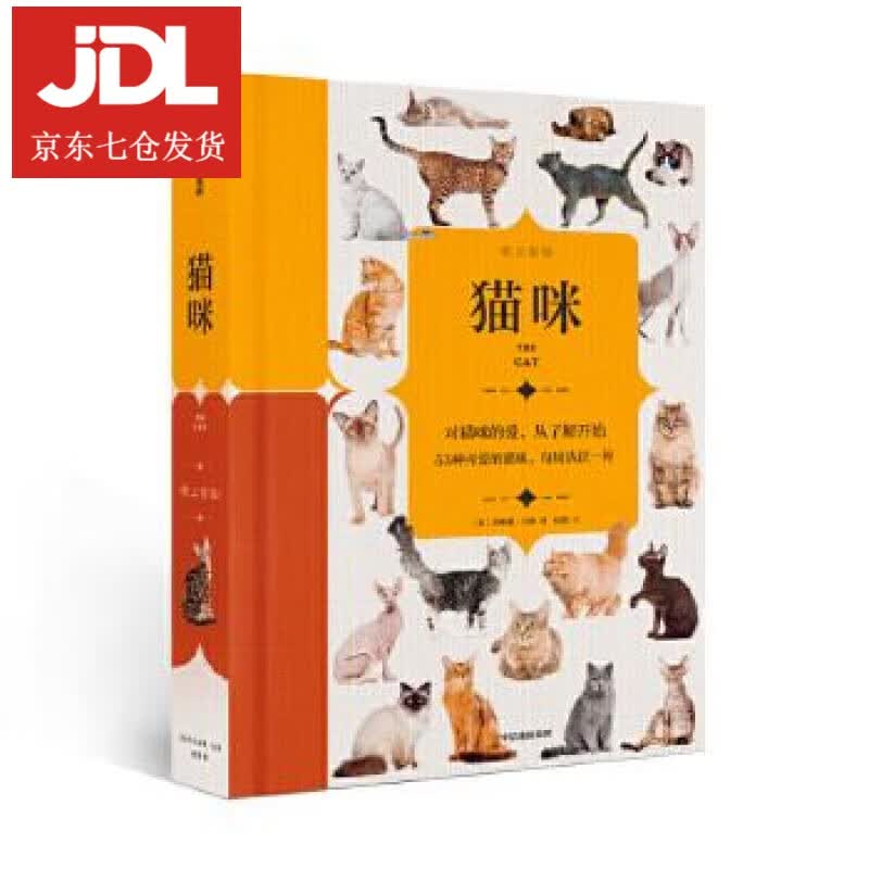 纸上景观：猫咪