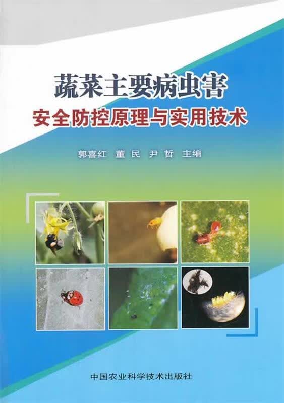 蔬菜主要病虫害安全防控原理与实用技术