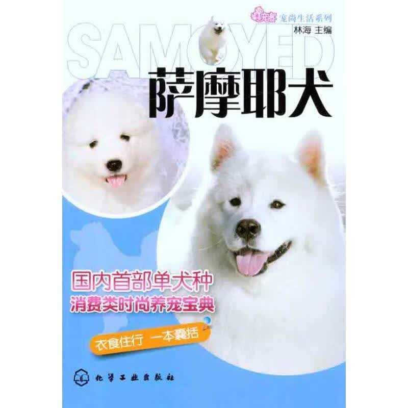 萨摩耶犬