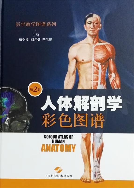 人体解剖学彩色图谱-第2版 柏树令,刘元健,李洪鹏 编 上海社