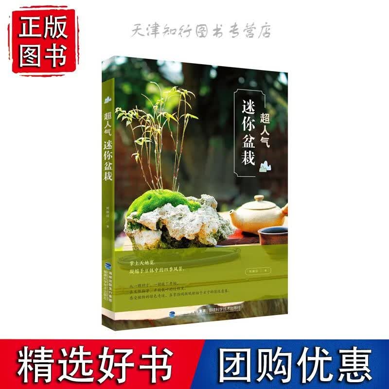 超迷你盆栽