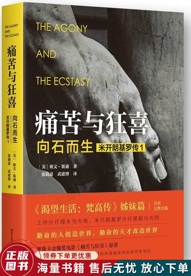 痛苦与狂喜:向石而生：米开朗基罗传①