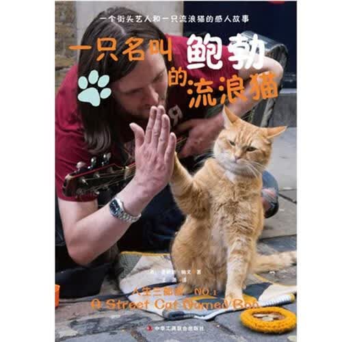 一只名叫鲍勃的流浪猫