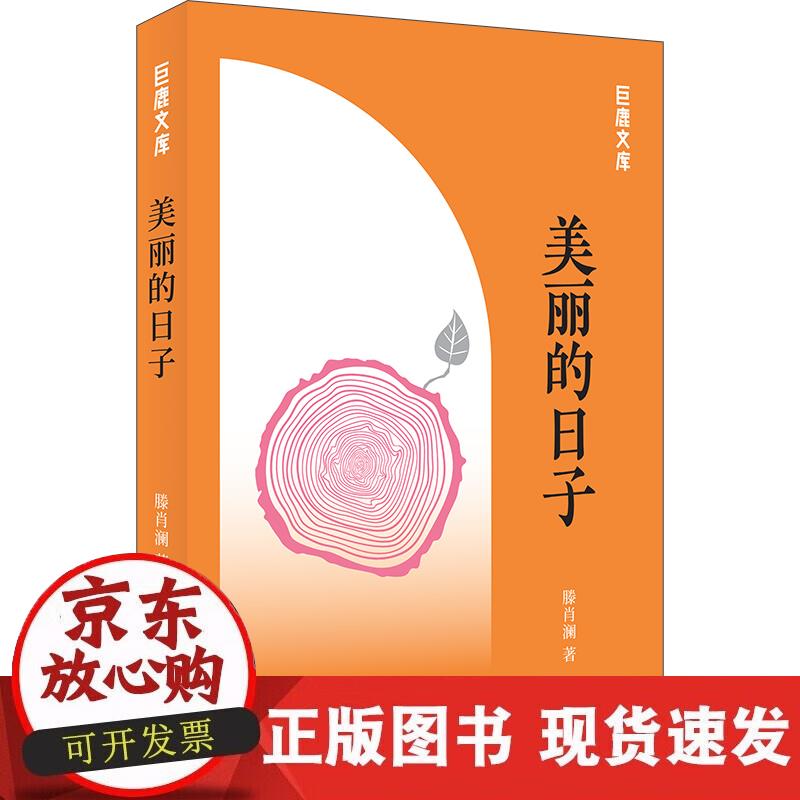 【现货】美丽的日子