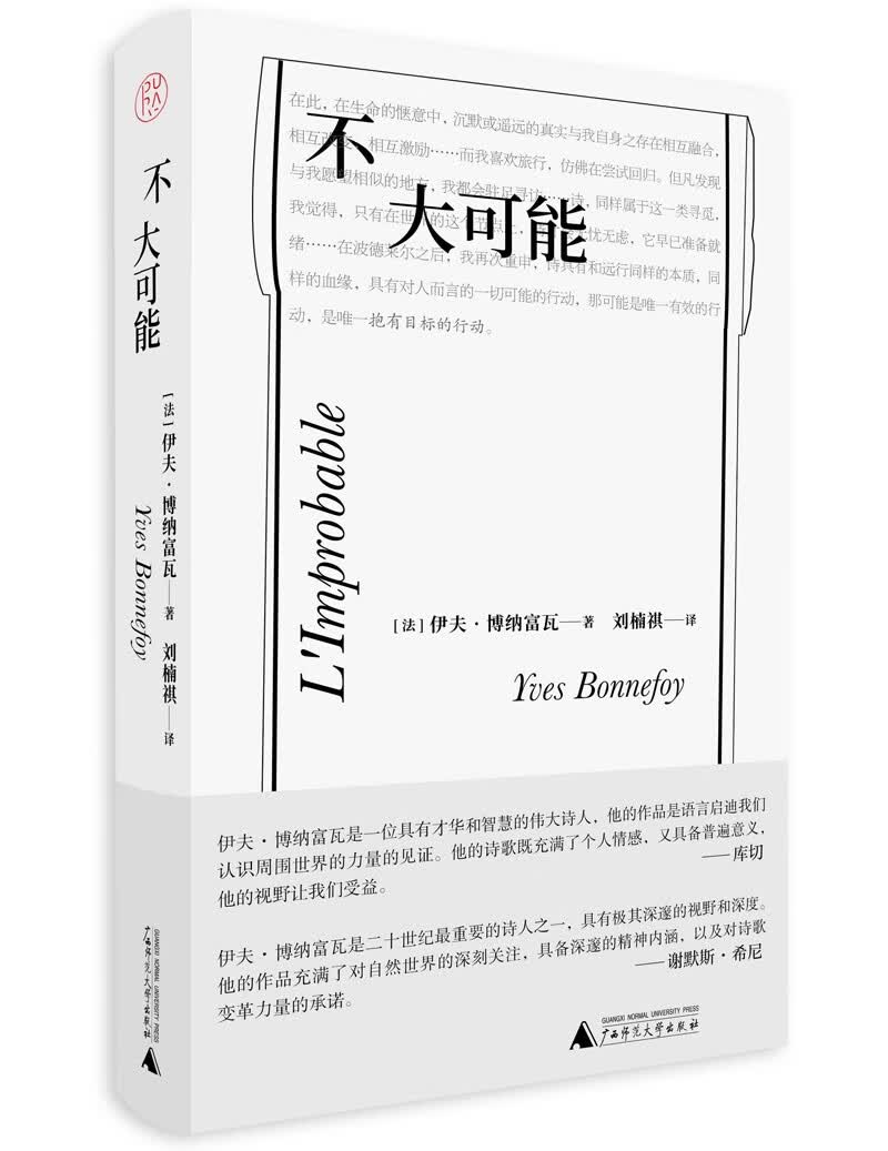 纯粹·不大可能