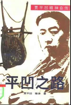 平凹之路【好书】