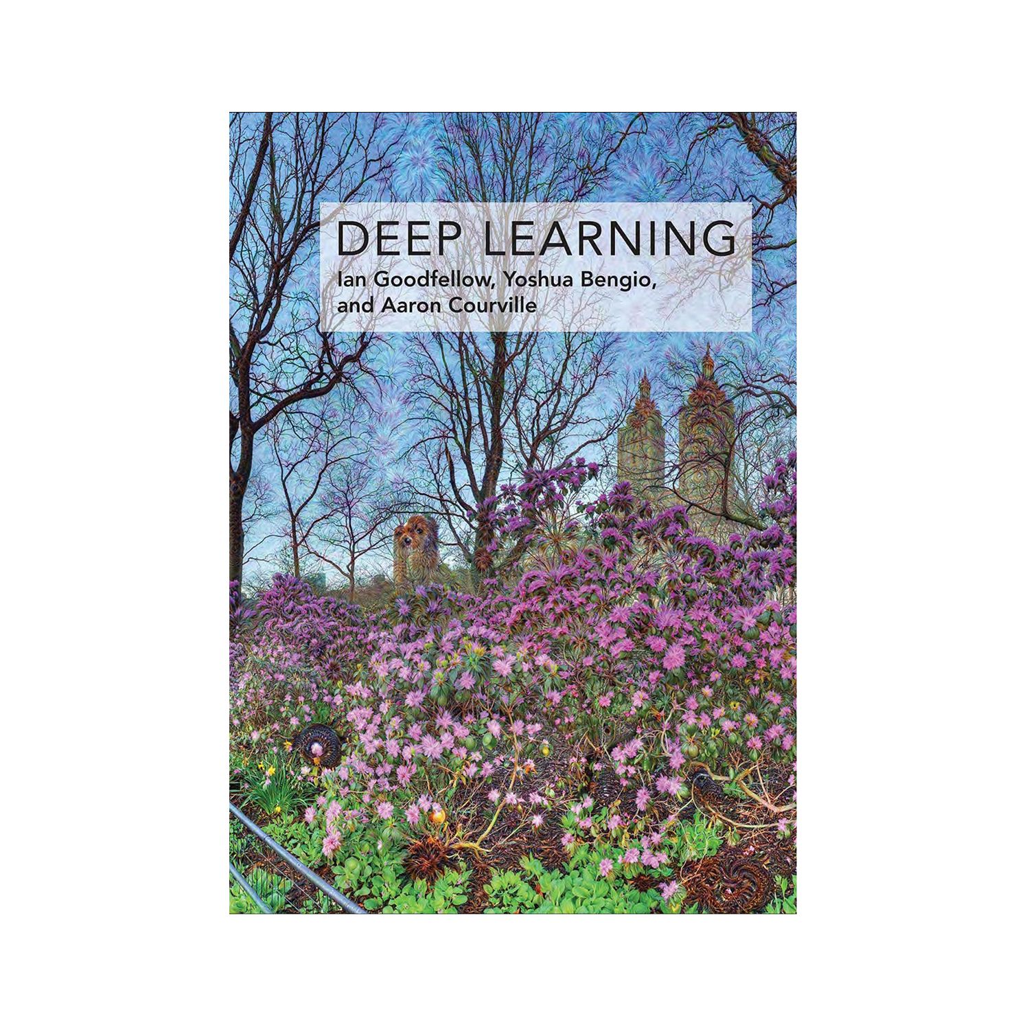 Deep Learning (彩)