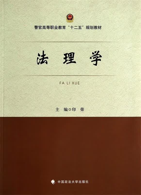 法理学 印荣 主编