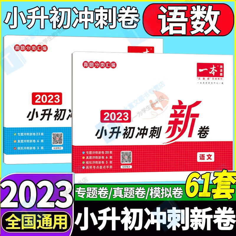 2023新版一本小升初冲刺新卷语文数学英语真题卷+专题卷+模拟卷期中期末单元卷六年级总复习小学升初中升学毕业考试测试卷练习册 语文+数学【全国通用】 小升初冲刺新卷