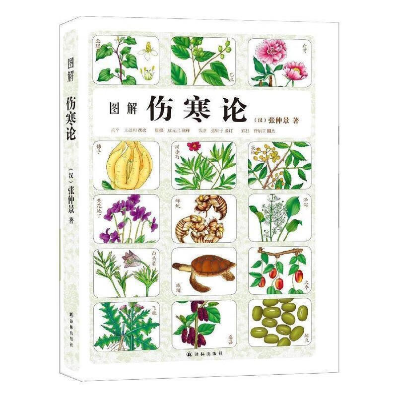 图解伤寒论 张仲景【书】