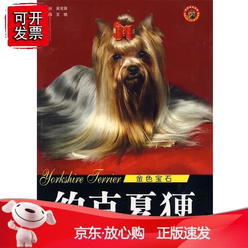 约克夏更金色宝石