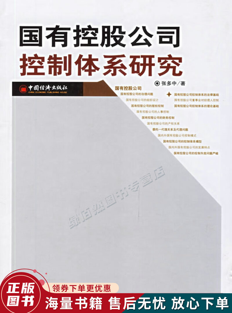 国有控股公司控制体系研究