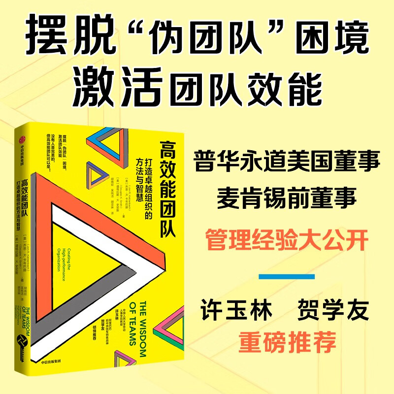 高效能团队 打造卓越组织的方法与智慧 激活团队效能 中信出版社图书