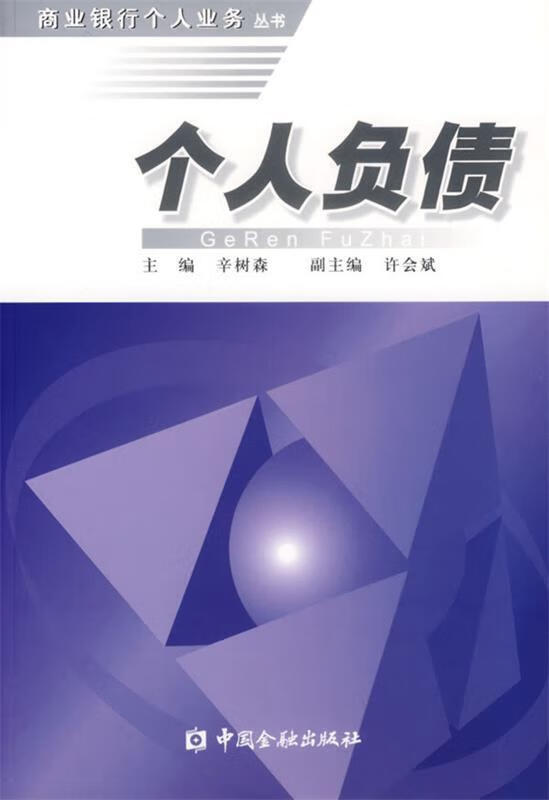 个人负债 辛树森主编【书】