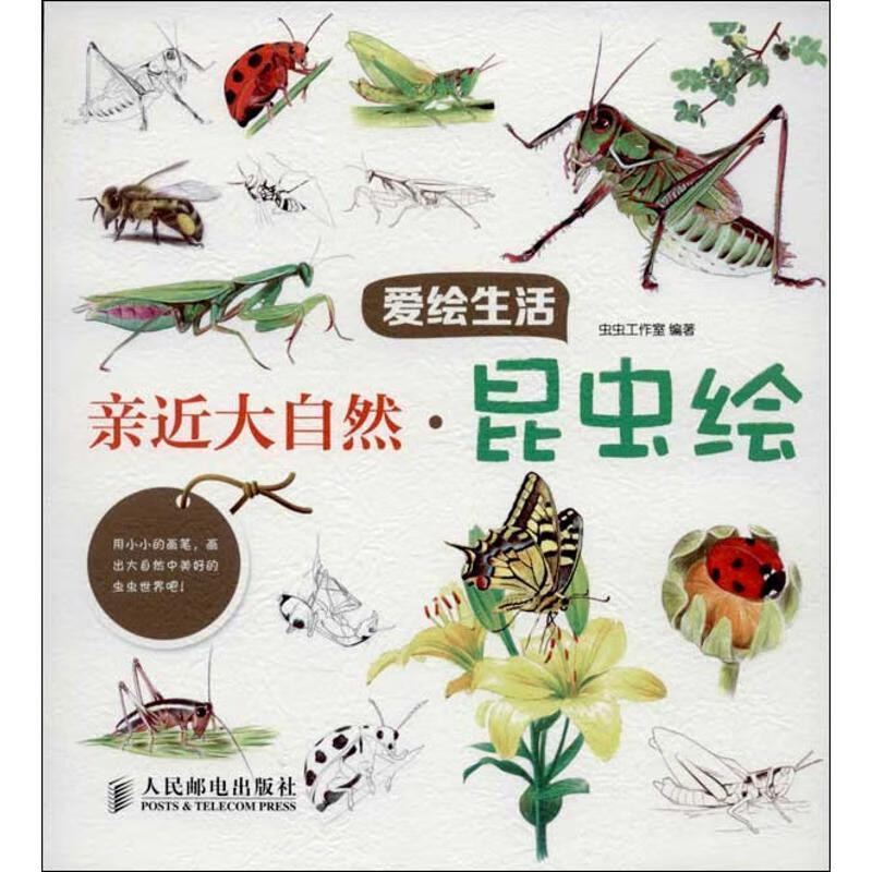 爱绘生活:亲近大自然·昆虫绘 虫虫工作室编著