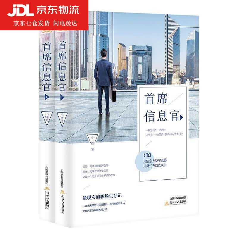 首席信息官 小辉 著 9787537861984