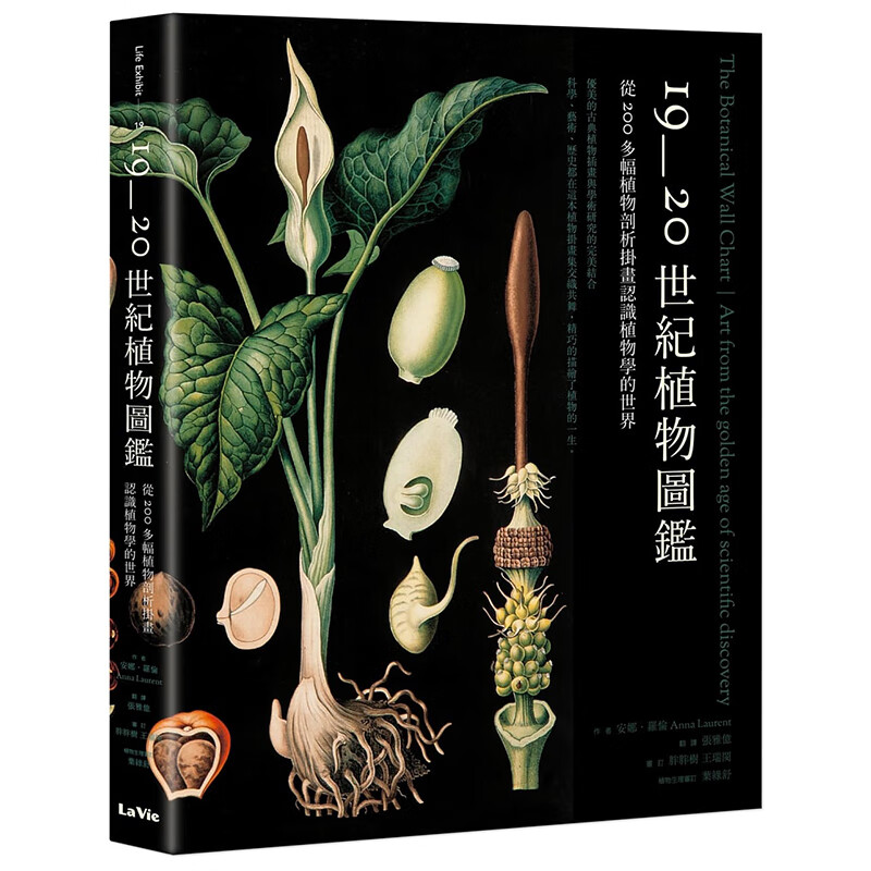 19~20世纪植物图鉴：从200多幅植物剖析挂画认识植物学的世界 港台原版图书籍台版 科普 安娜.罗伦 Anna Laurent