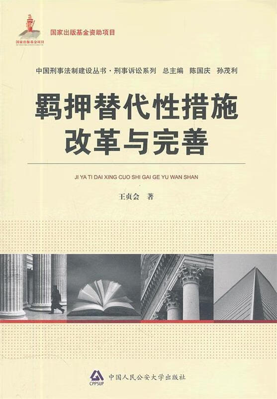羁押替代性措施改革与完善 王贞会【书】