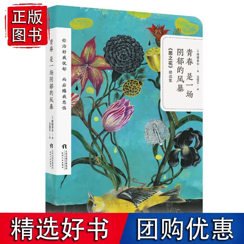 青春是一场阴郁的风暴