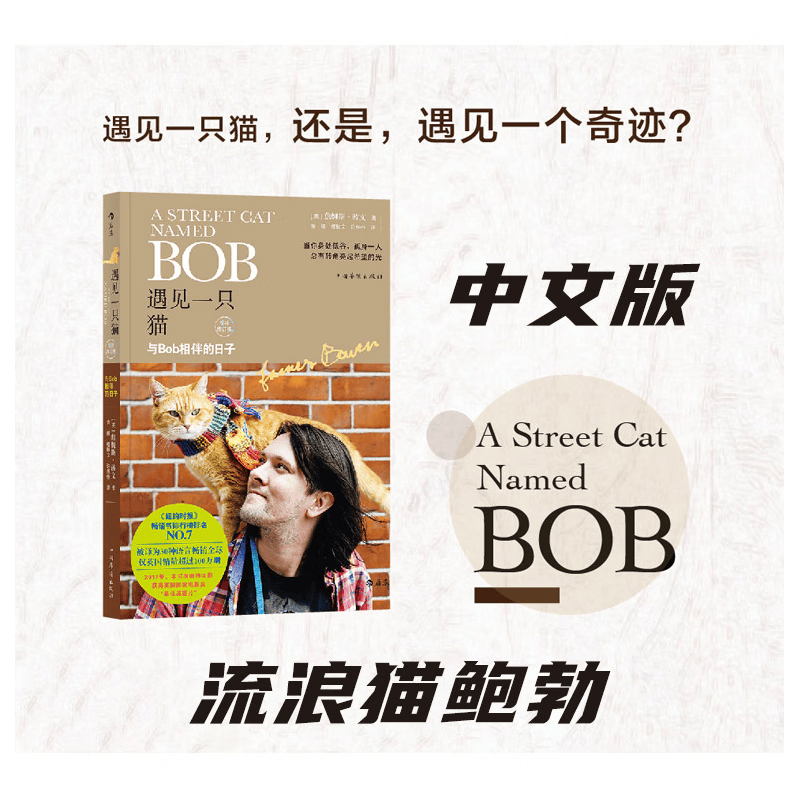 后浪 遇见一只猫 与Bob相伴的日子 流浪猫鲍勃 中文版 詹姆斯波文 A Street Cat 标准