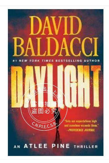 现货 日光 戴维·鲍尔达奇推理犯罪小说 英文原版 Daylight (An Atlee P