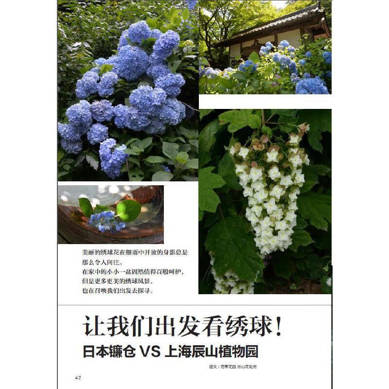 绿手指园艺花园MOOK·绣球号
