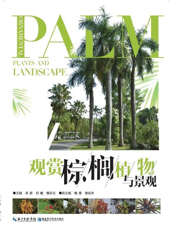 观赏棕榈植物与景观 宋鼎,刘敏,魏开云 湖北科学技术出版社