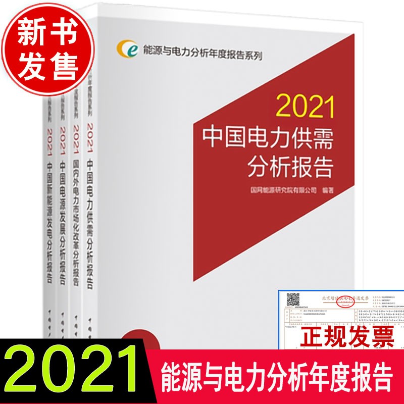 能源与电力系列 2021能源与电力分析年度报告系列（全4册 ）