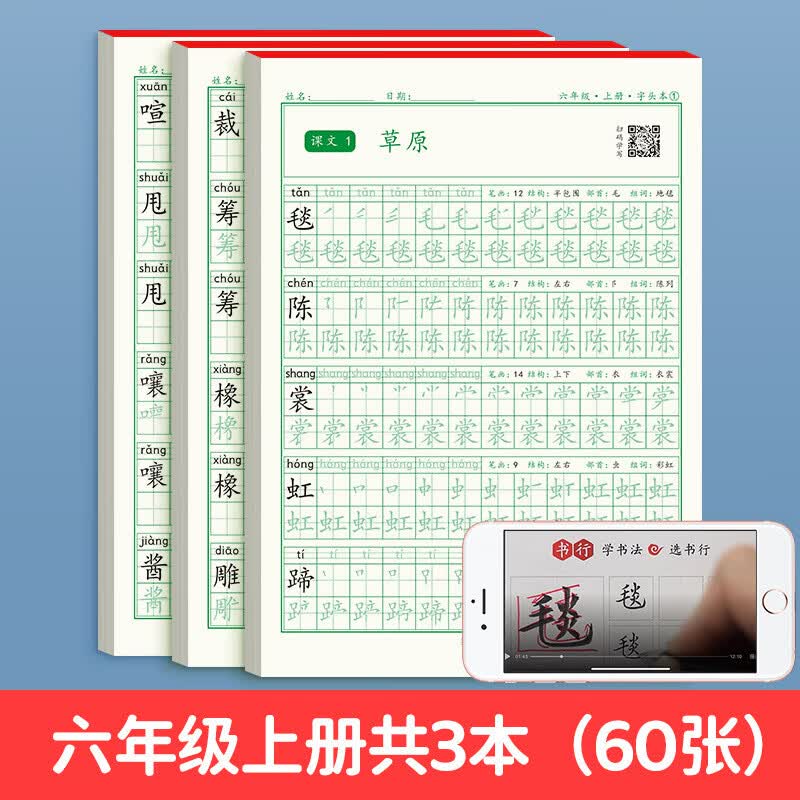 小学生练字帖一年级二年级三四五六年级点阵字头本上册下册每日一练笔画笔顺练语文生字同步描红人教版专用练 六年级上【1套3本】