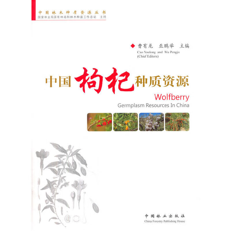 【现货】中国枸杞种质资源