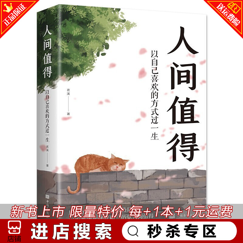 特价专区 人间值得 已自己喜欢的方式过一生 愿你历尽千帆归来仍是少年 励志心态情绪控制书籍