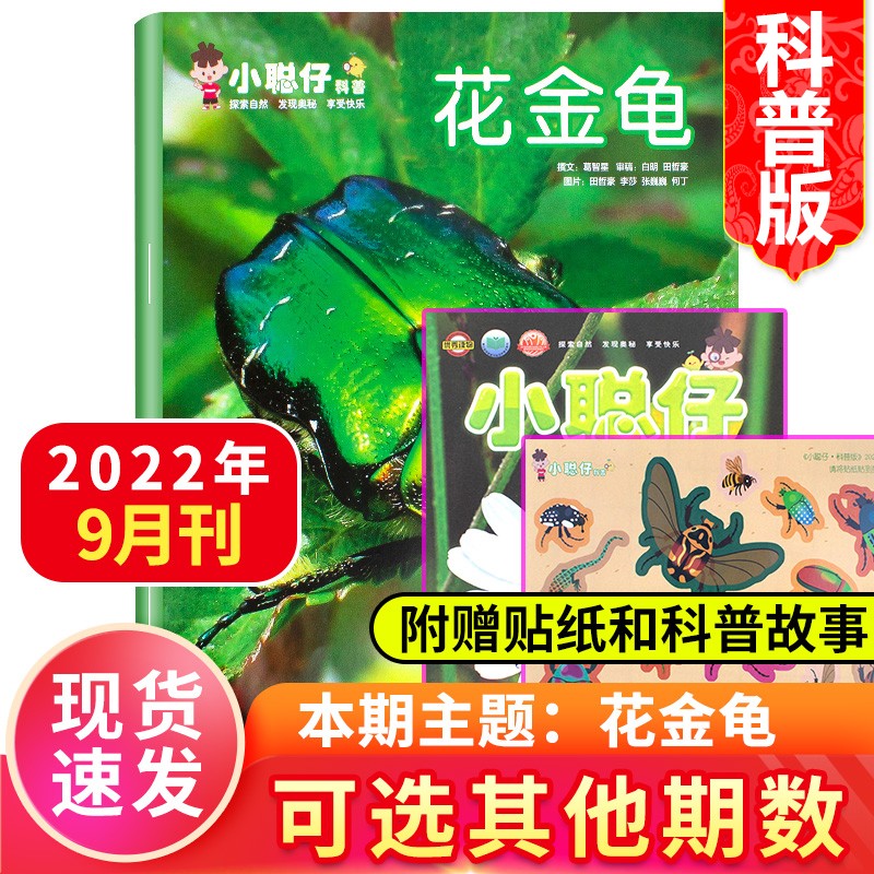 【6月新期到】小聪仔科普版杂志2023年【单本多期可选】幼儿益智兴趣智力开发低年级儿童科普百科自然探索奥秘非2022过期刊 2022年9月【花金龟】