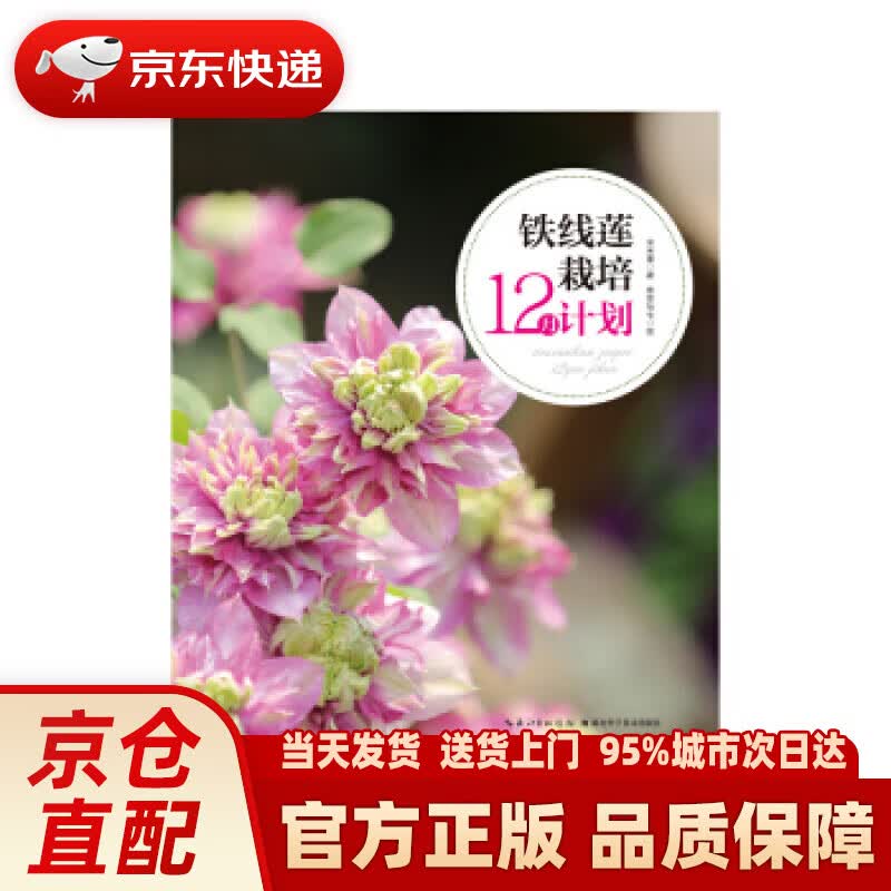 【新华】铁线莲栽培12月计划 米米童 著 湖北科学技术出版社