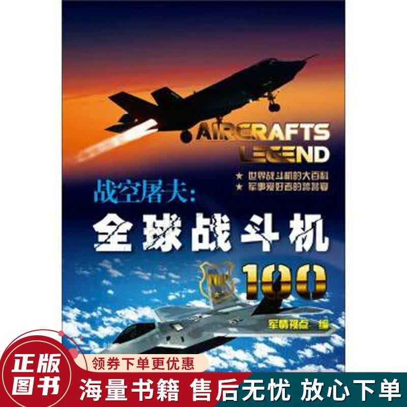 战空屠夫：全球战斗机100