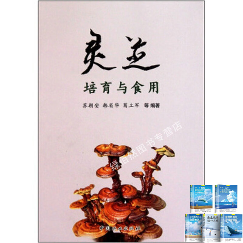灵芝培育与食用