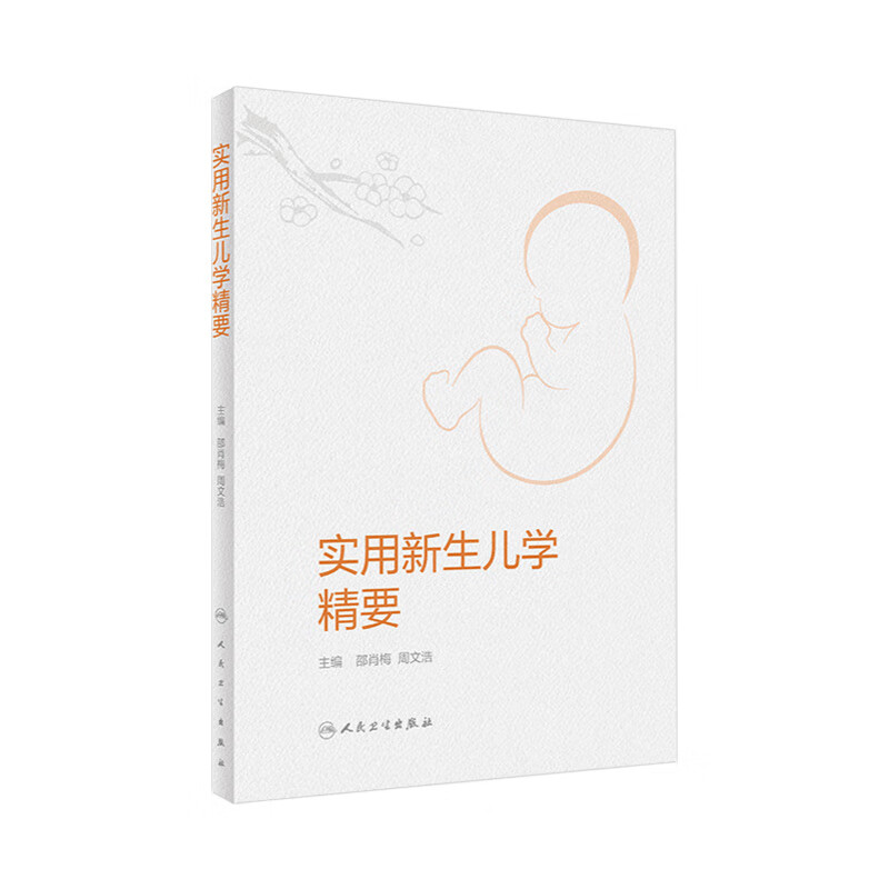 实用新生儿学精要 9787117328449