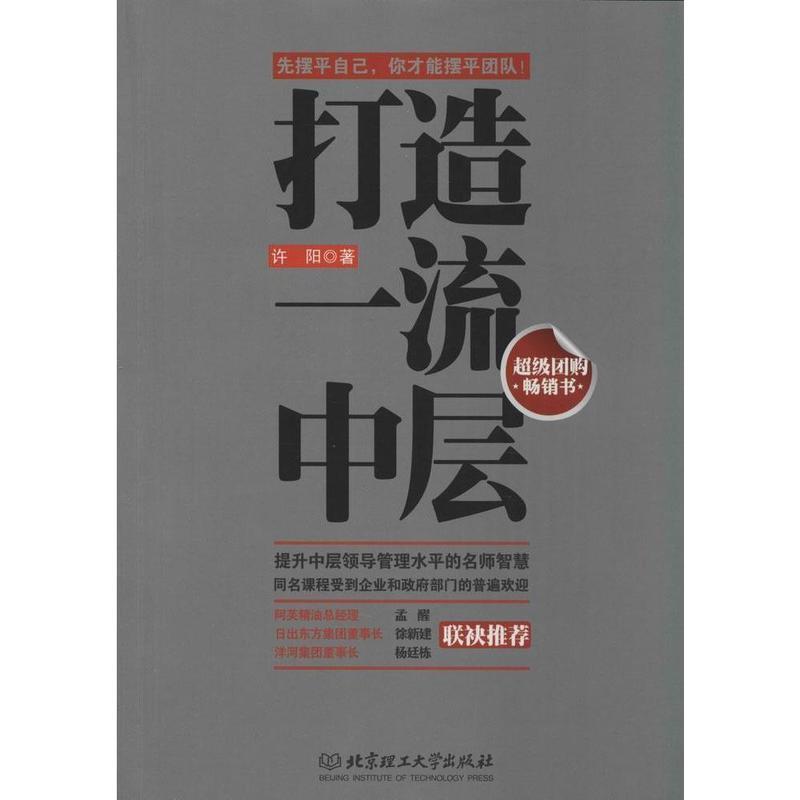打造中层 许阳著