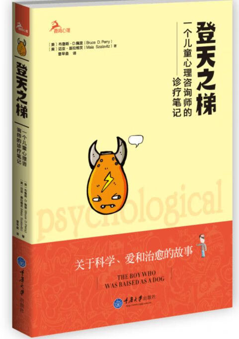 登天之梯:一个儿童心理咨询师的诊疗笔记