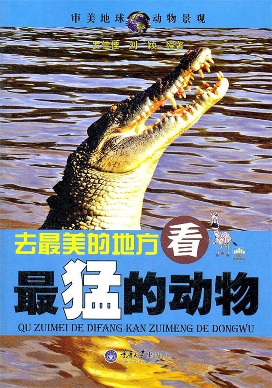 去最美的地方，看最猛的动物