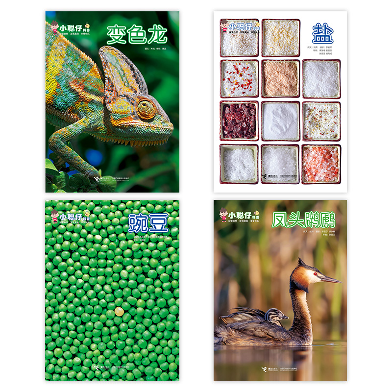 【接力出版社旗舰店】2022年小聪仔科普版1-4期 2-6-8岁宝宝孩子期刊杂志小学生启蒙认知早教亲子共读科普百科畅销书籍
